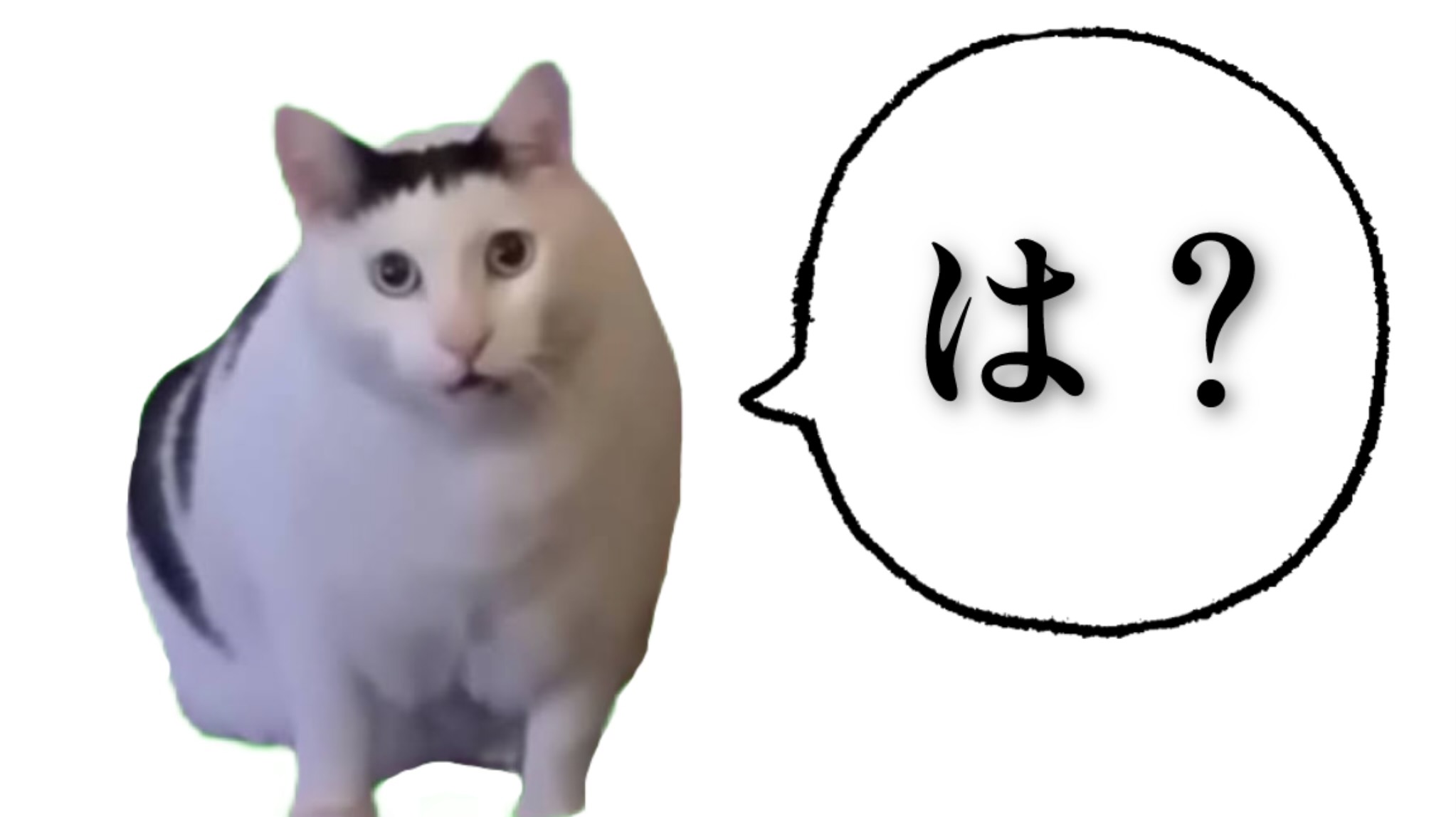 【DBFW】『烈火の闘気』パック発売前注目カードランキング【前編】 | DBFW日記（ドラゴンボールヒュージョンワールドにっき）