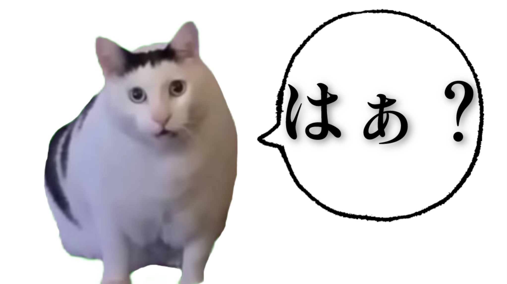 【SDBH】MM4～6弾最強UR＆SECランキング22選【メテオミッション】 | DBFW日記（ドラゴンボールヒュージョンワールドにっき）